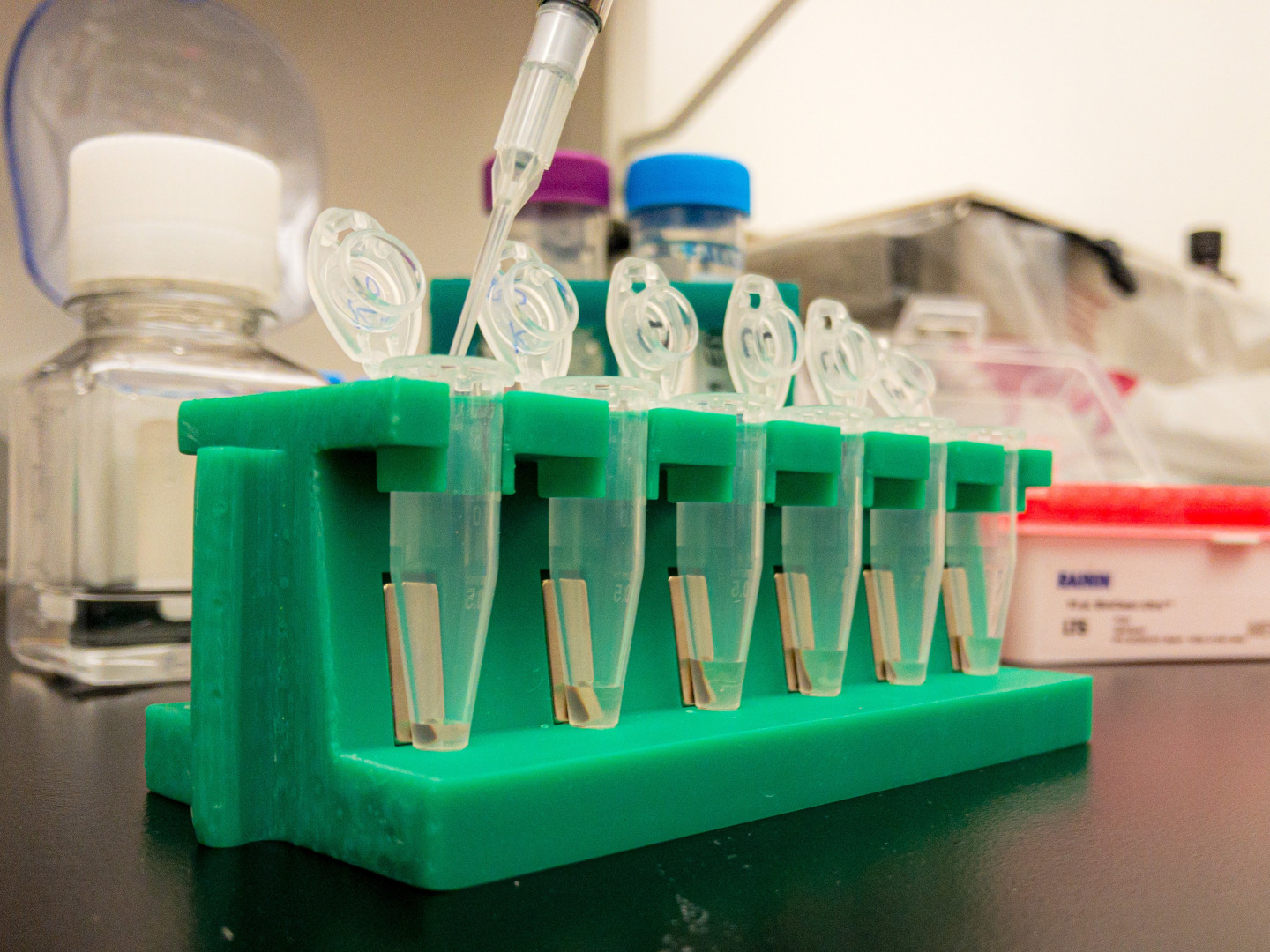 Magnetic Separator Rack | Christopher Monaco